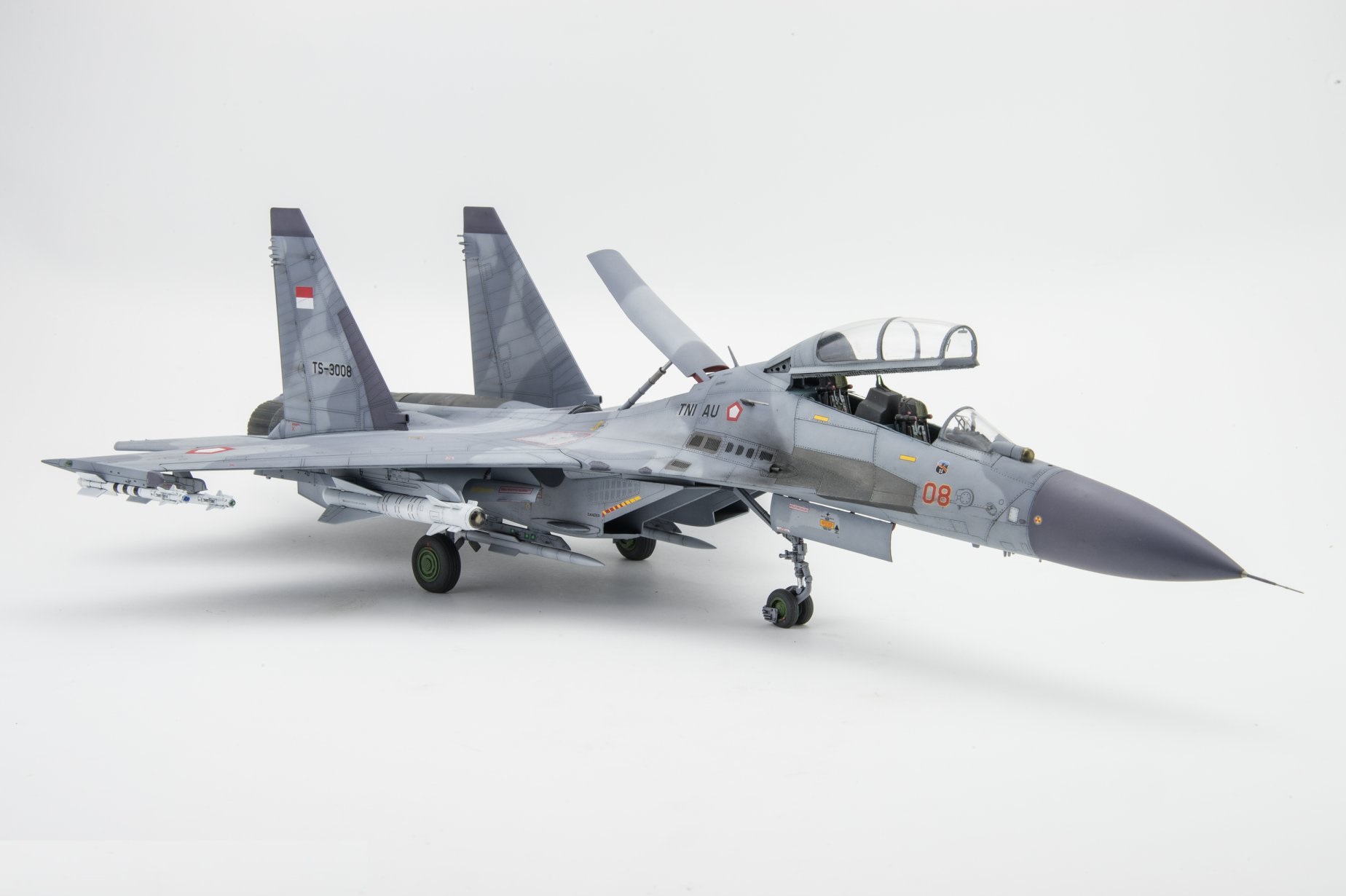 Sukhoi Su-30 - Model Aces