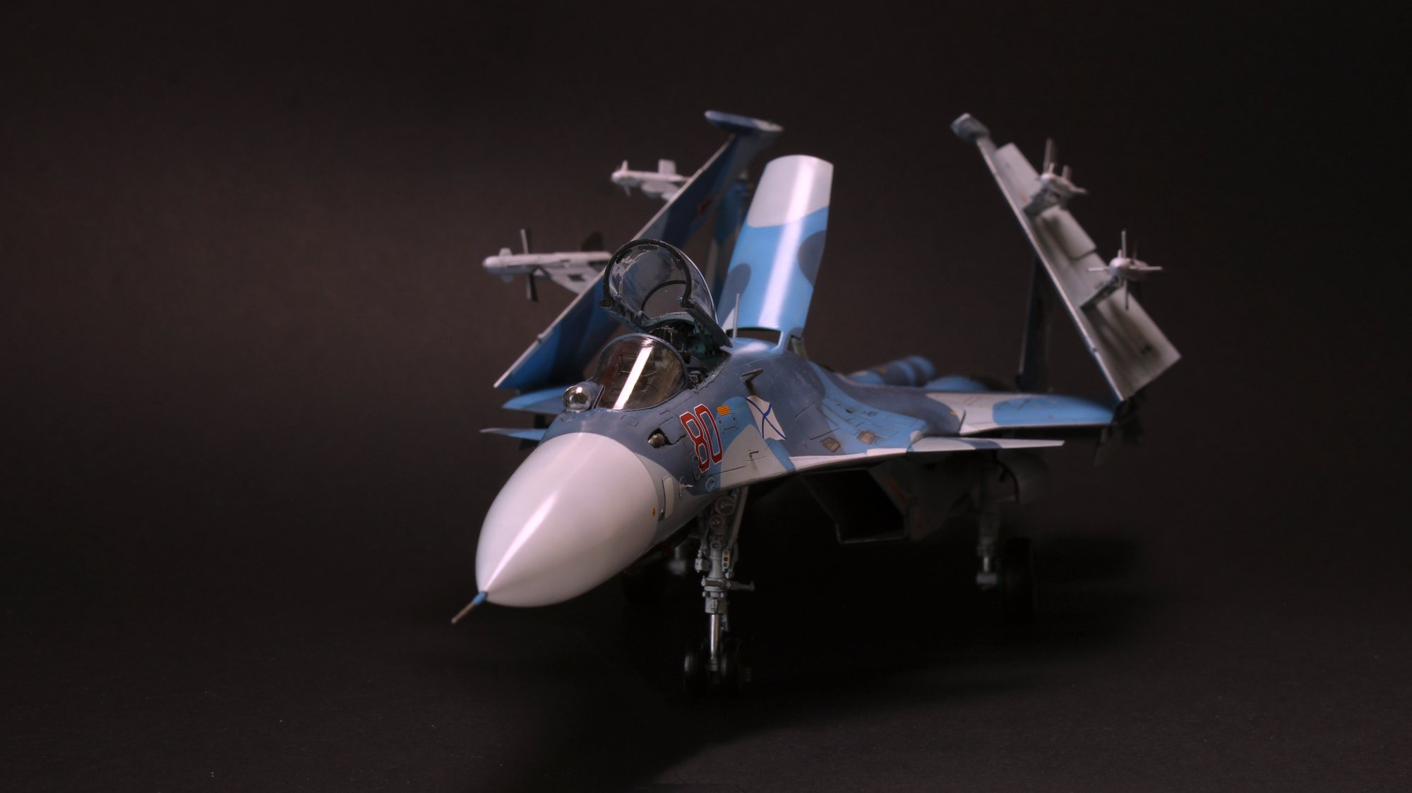 Sukhoi Su-33 Flanker-D - Model Aces
