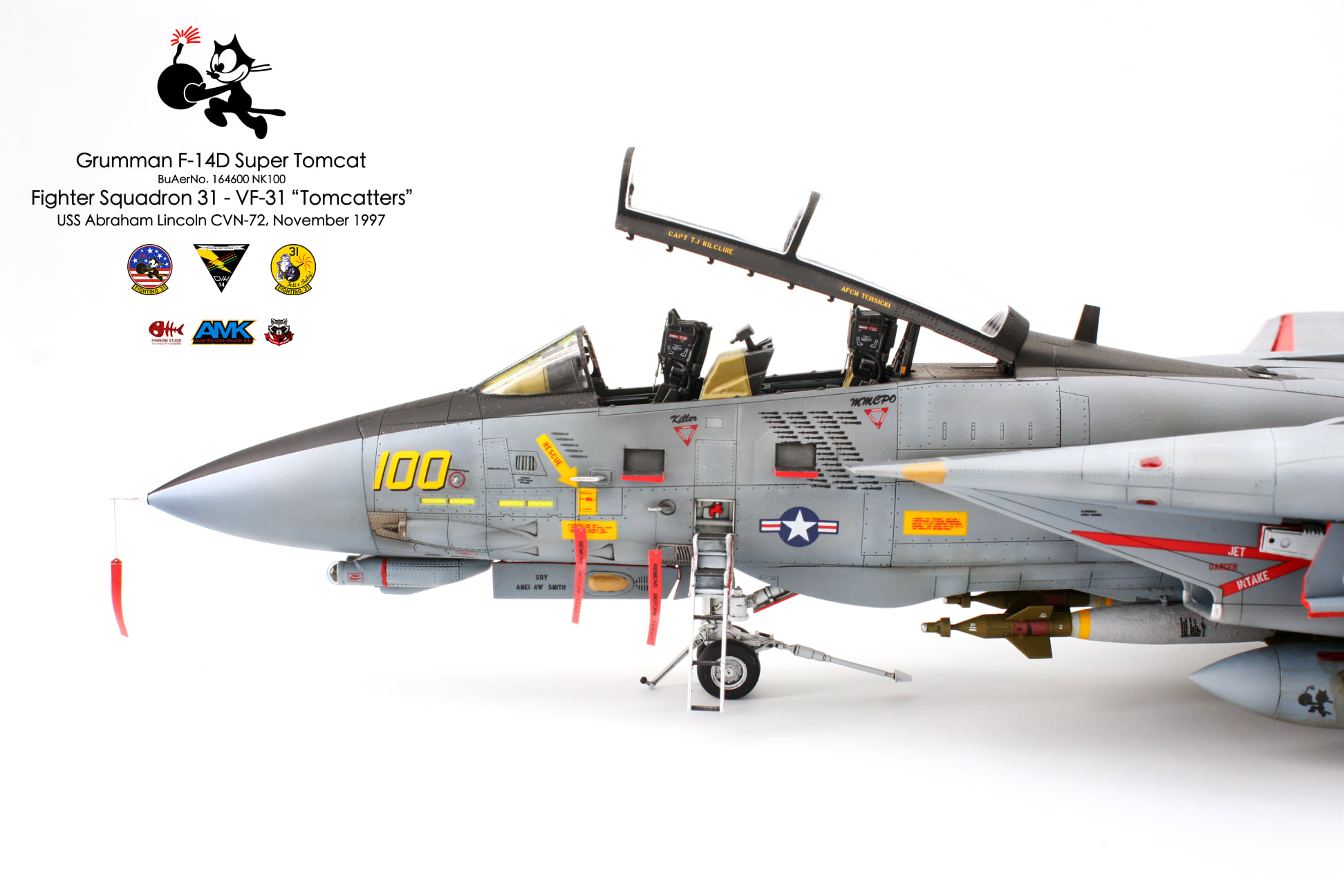 F-14D Super Tomcat VFA-31 Tomcatters - Model Aces